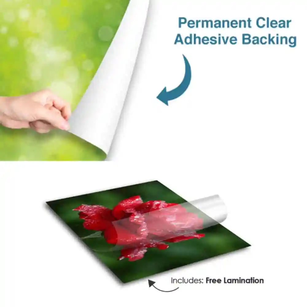 Adhesive Vinyls | All American Printing