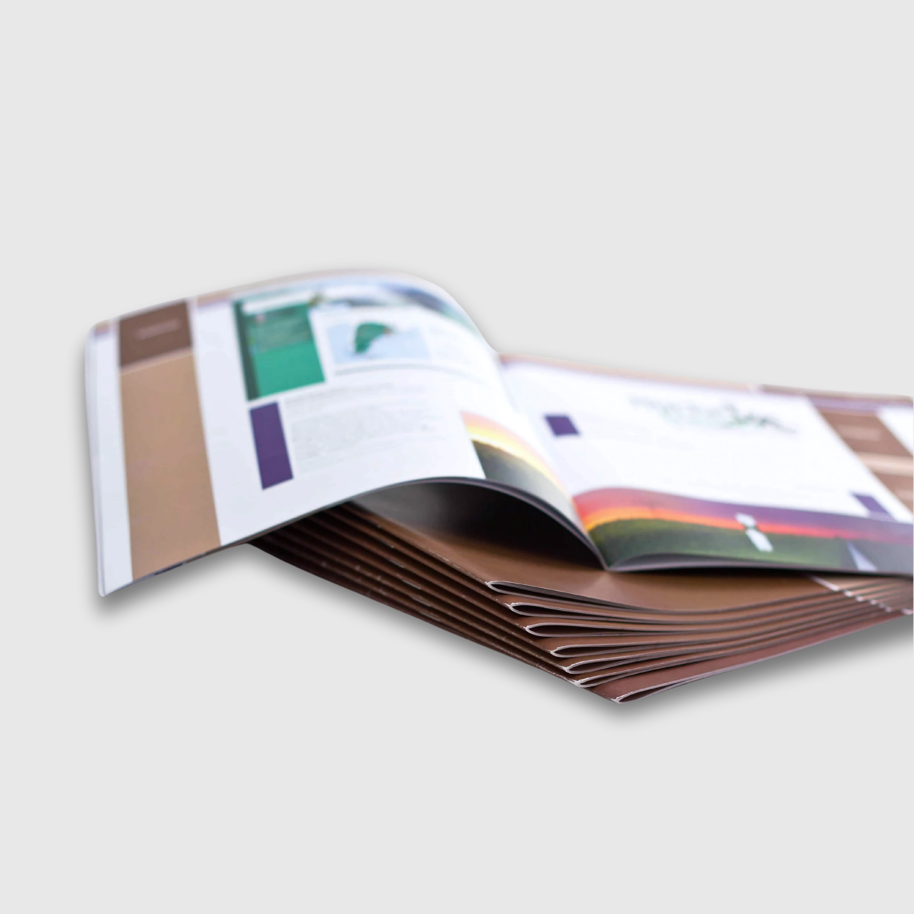 Saddle Stitch Booklets | Custom Booklet Printing