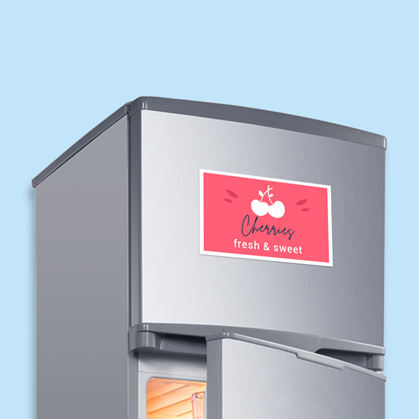 Magnets - PostNet TX157