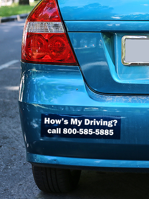 Explore Custom Bumper Stickers Templates & Personalize Instantly